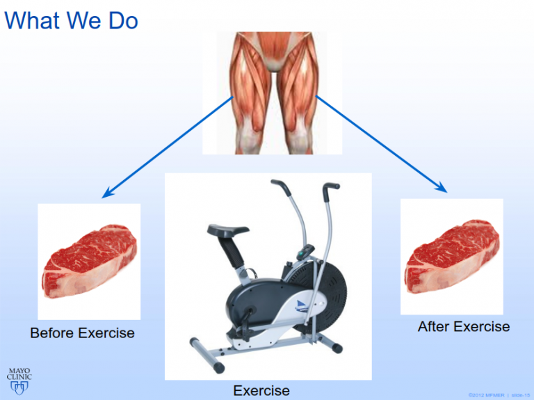 How does skeletal muscle change after exercise? – InfinoMe Blog